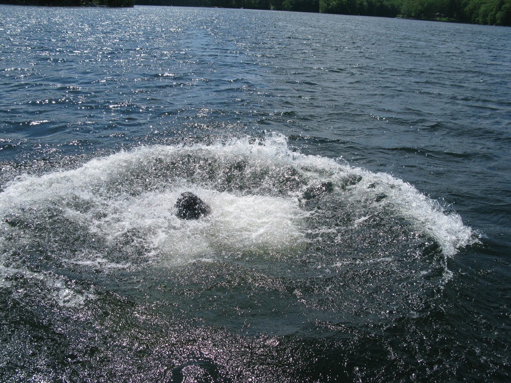 Manchaug Pond Foundation | The Voice of Manchaug Pond – You have ...