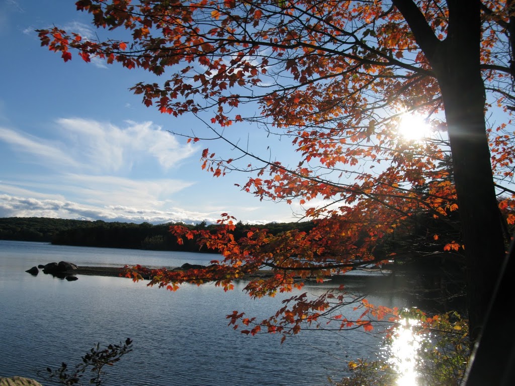 Enjoy the Day! | Manchaug Pond Foundation