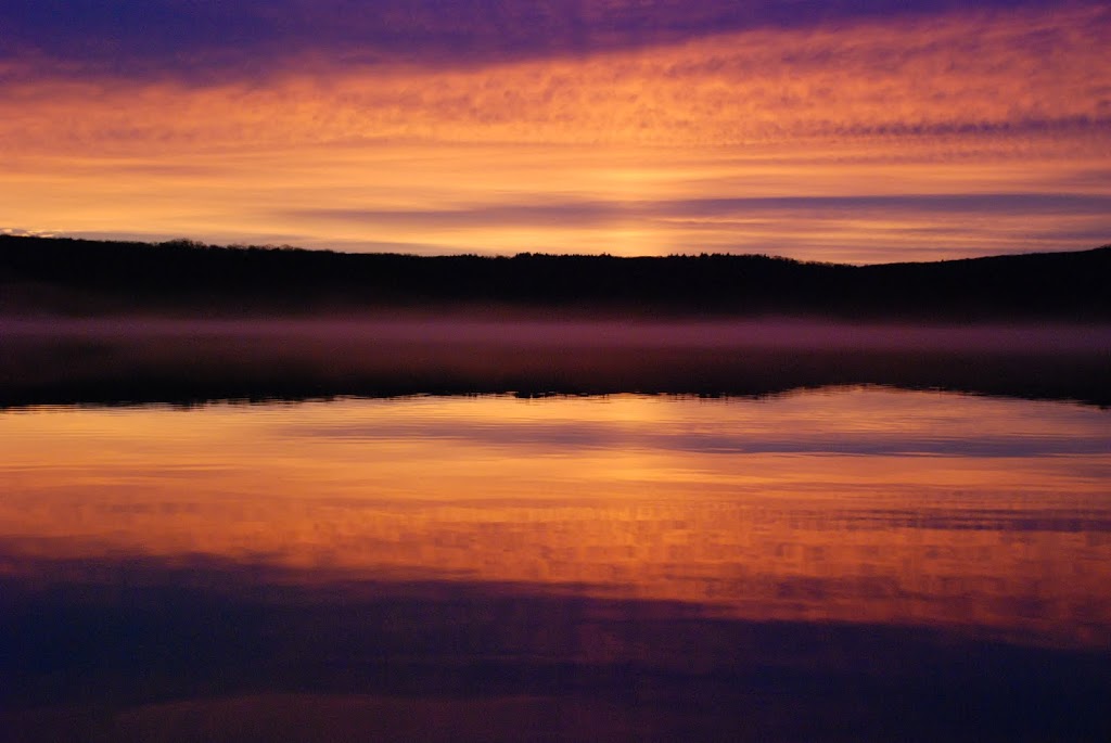 Blueberry Island | Manchaug Pond Foundation