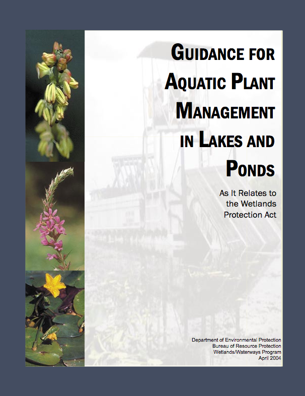 Guidance for Aquatic Plant Management brochure cover | Manchaug Pond ...