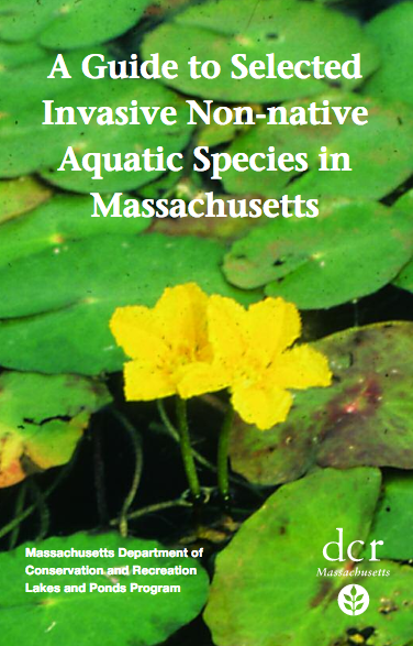 Guide to Invasive Species brochure cover | Manchaug Pond Foundation
