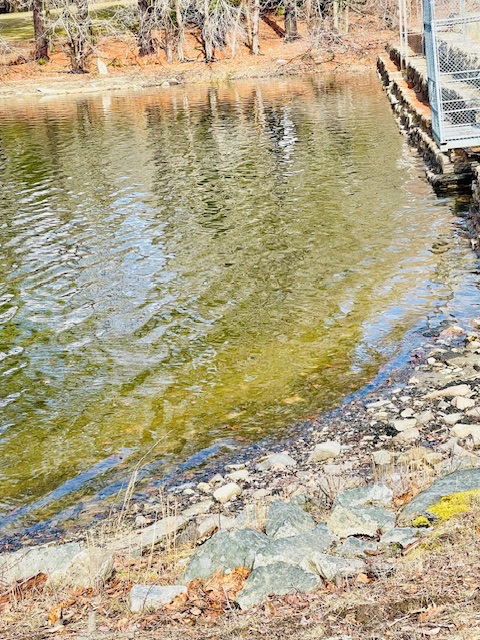 Sediment Manchaug Pond from 45 Oak St_2024, March 3 | Manchaug Pond ...